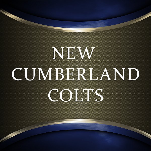 Sports - Prepay Your Package District - colleenandco.com